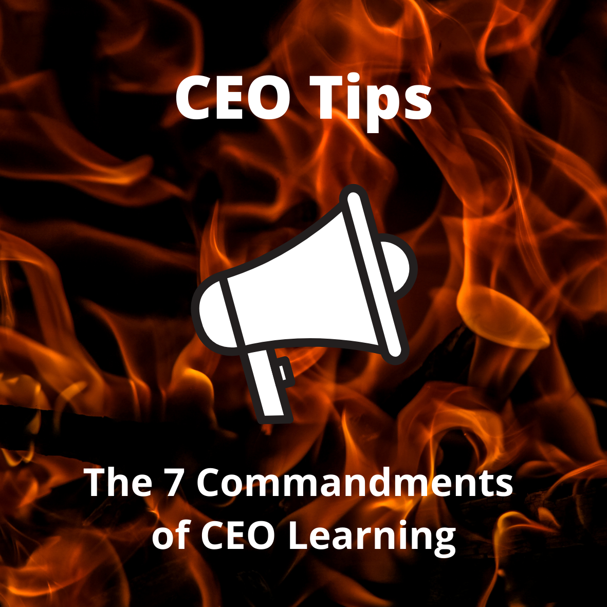 CEO Tip: The 7 Commandments of CEO Learning – CEO and Leadership Insights